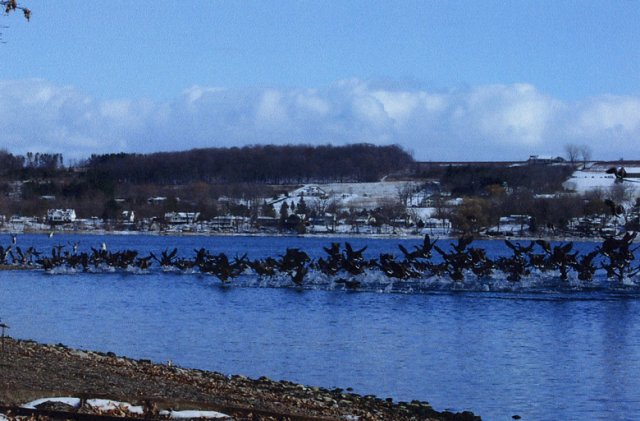 Keuka Lake Association - Photo Gallery