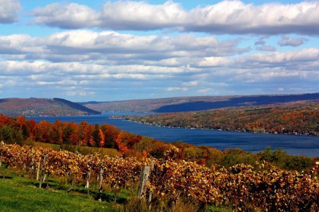 Keuka Lake Association - Photo Gallery