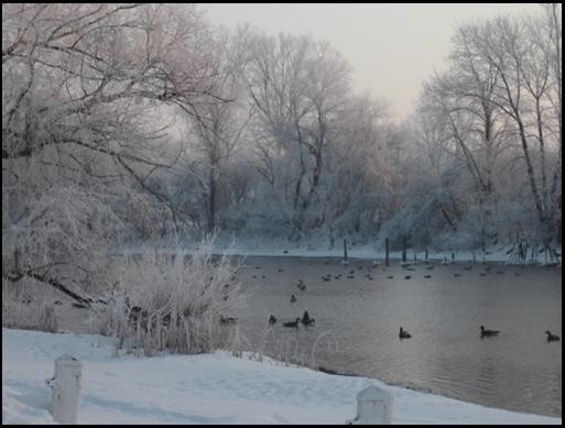 Keuka Lake Association - Photo Gallery